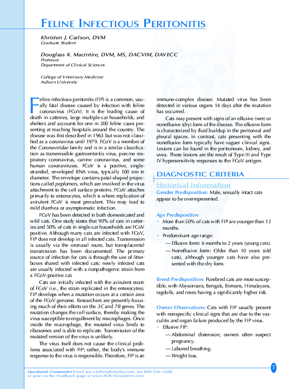 (PDF) SCIENTIFIC INFORMATION DOCUMENT Feline infectious peritonitis