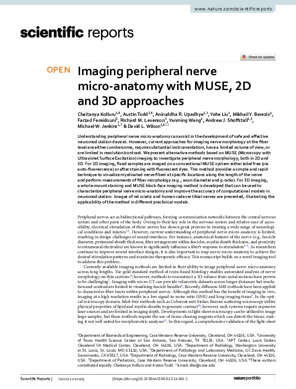 (PDF) Imaging peripheral nerve micro-anatomy with MUSE, 2D and 3D ...