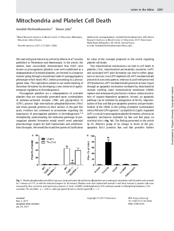 (PDF) Mitochondria and Platelet Cell Death