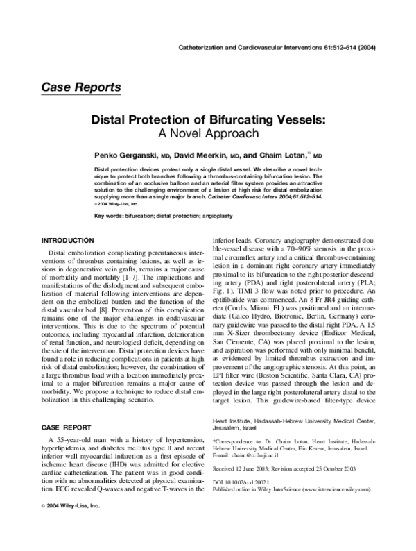 (PDF) Distal protection of bifurcating vessels: A novel approach