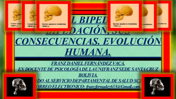 (PPT) TEMA 944. PARTE 2. LA BIPEDESTACIÓN O EL BIPEDISMO.