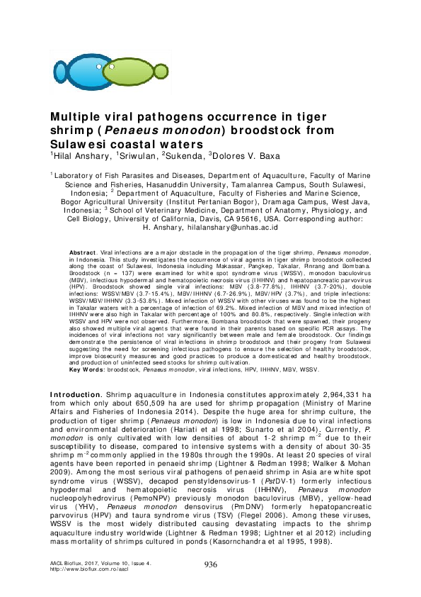 (PDF) Multiple viral pathogens occurrence in tiger shrimp (Penaeus ...