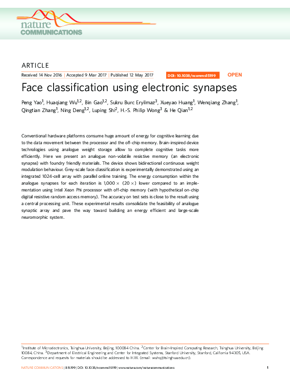(PDF) Efficient Face Classification with Synapses