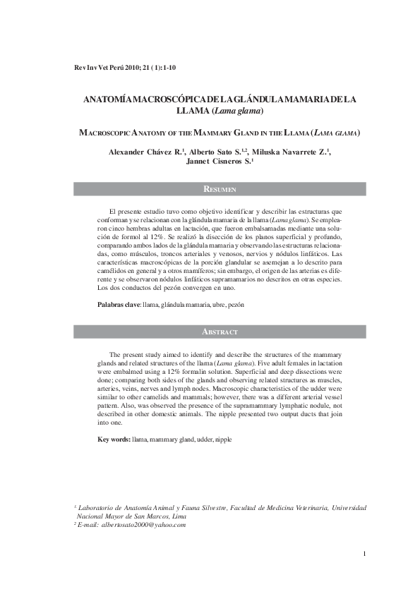 (PDF) ANATOMÍA MACROSCÓPICA DE LA GLÁNDULA MAMARIA DE LA LLAMA (Lama glama)