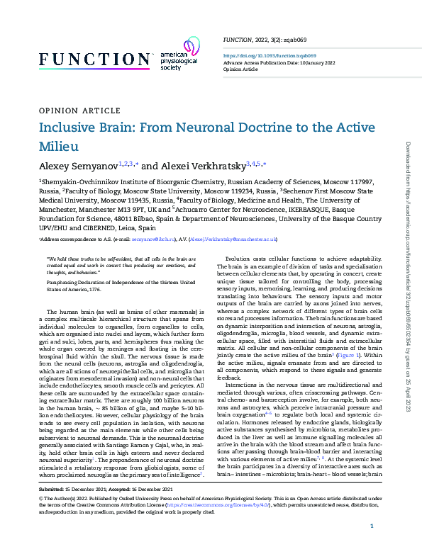 (PDF) Inclusive Brain: From Neuronal Doctrine to the Active Milieu