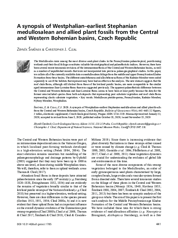 (PDF) A synopsis of Westphalian‒earliest Stephanian medullosalean and ...