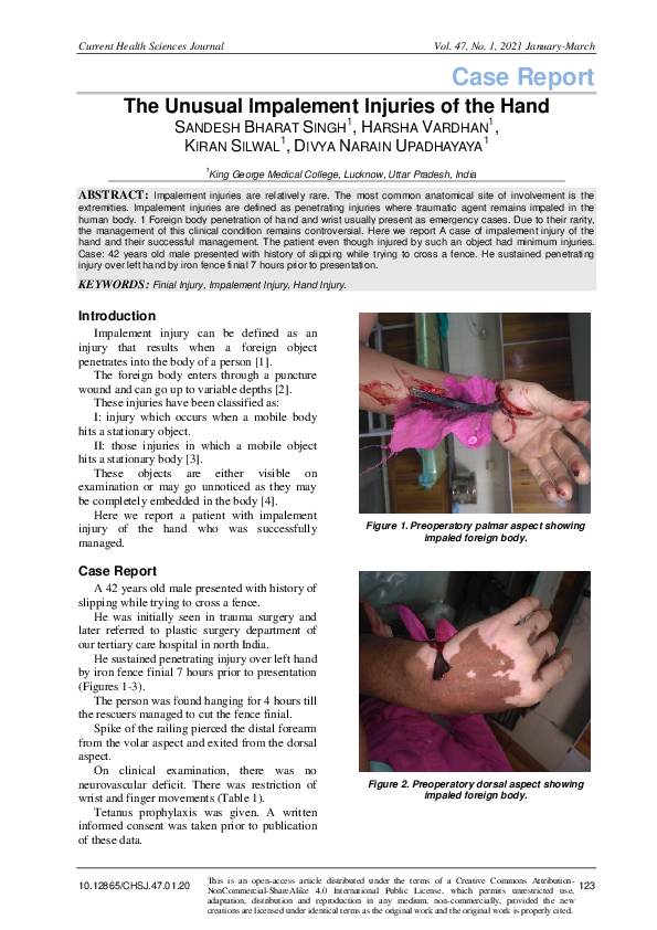 (PDF) The Unusual Impalement Injuries of the Hand | Sandesh Singh ...