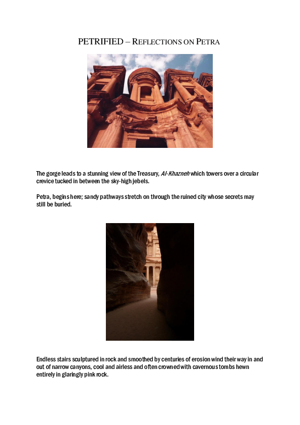 (PDF) PETRIFIED