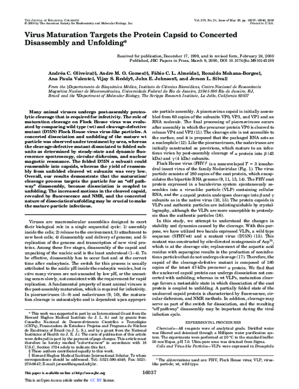 (PDF) Virus Maturation Targets the Protein Capsid to Concerted ...