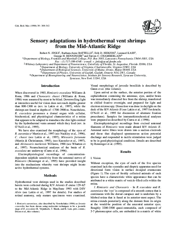 (PDF) Sensory adaptations in hydrothermal vent shrimps from the Mid ...