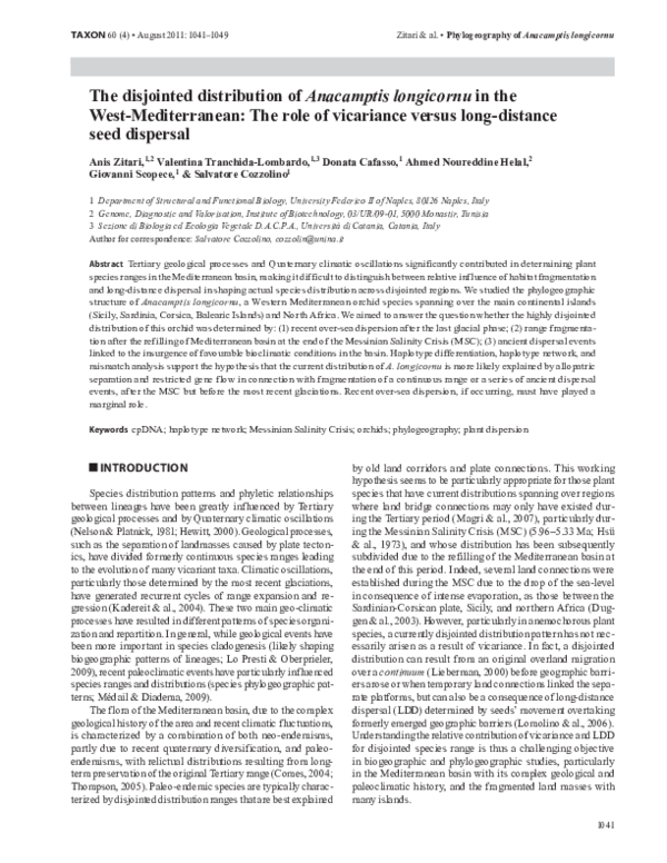 (PDF) The disjointed distribution ofAnacamptis longicornuin the West ...