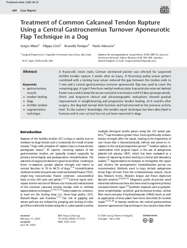(PDF) Treatment of Common Calcaneal Tendon Rupture Using a Central ...