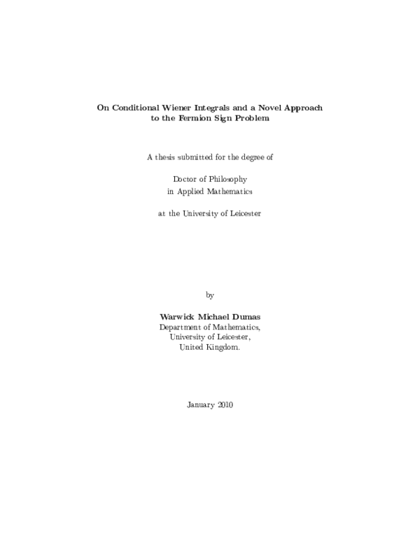(PDF) On Conditional Wiener Integrals and a Novel Approach to the Fermion Sign Problem