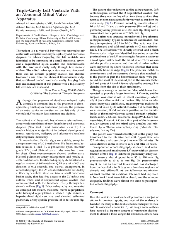(PDF) Triple-Cavity Left Ventricle With an Abnormal Mitral Valve ...