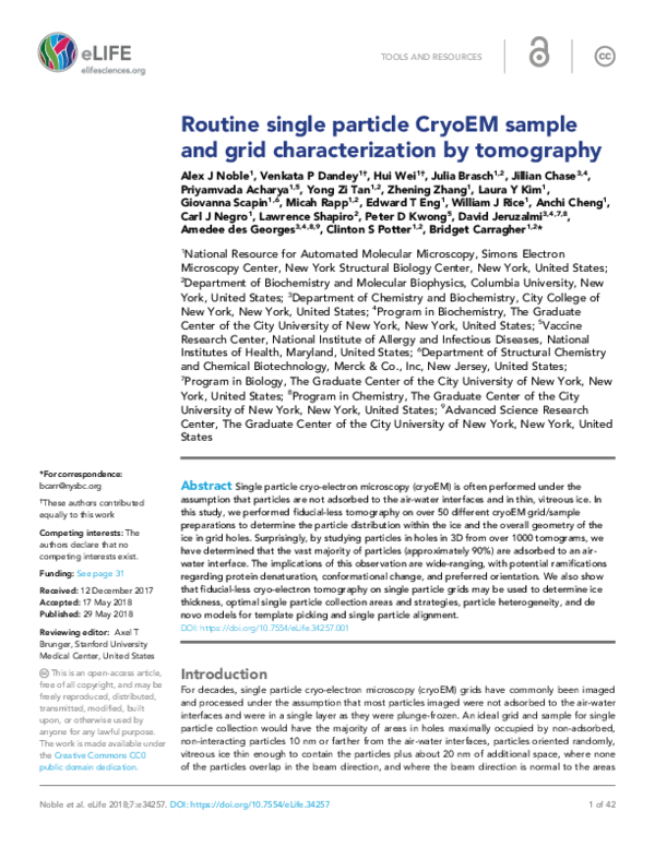 (PDF) Routine single particle CryoEM sample and grid characterization by tomography