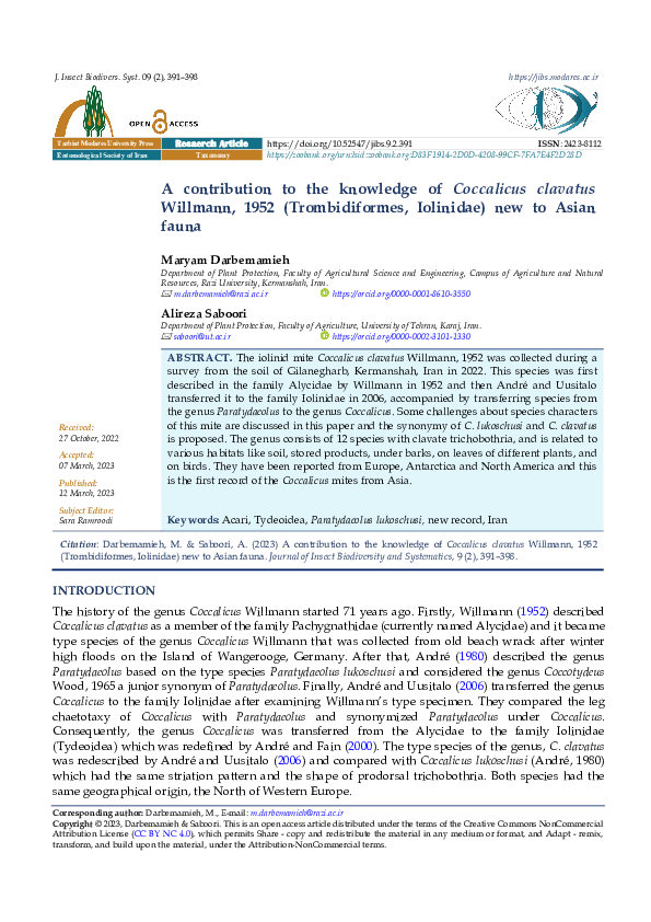 (PDF) A contribution to the knowledge of Coccalicus clavatus Willmann ...
