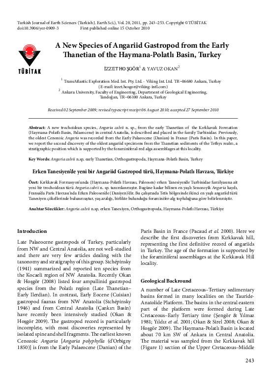 (PDF) A New Species of Angariid Gastropod from the Early Thanetian of ...
