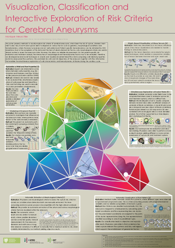 Visualization, Classification and Interactive Exploration of Risk ...