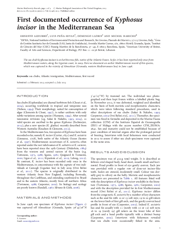 (PDF) First documented occurrence of Kyphosus incisor in the ...