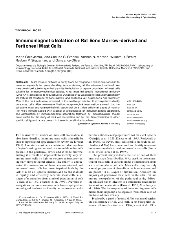 (PDF) Immunomagnetic Isolation of Rat Bone Marrow-derived and ...