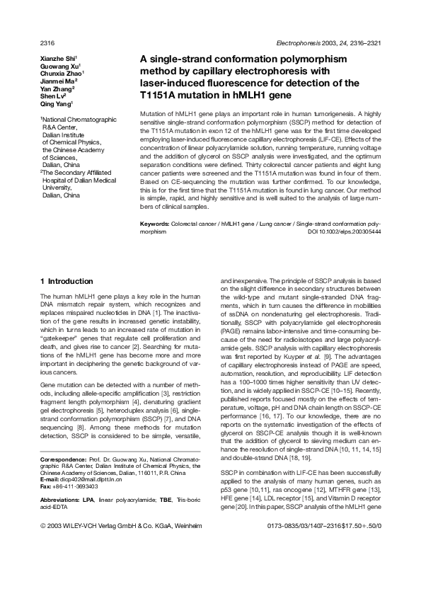 (PDF) A single-strand conformation polymorphism method for the large-scale analysis of mutations ...