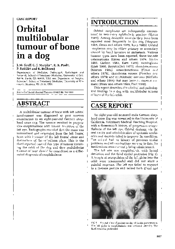 (PDF) Orbital multilobular tumour of bone in a dog