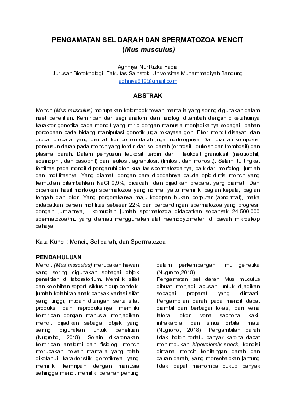 (PDF) PENGAMATAN SEL DARAH DAN SPERMATOZOA MENCIT (Mus musculus