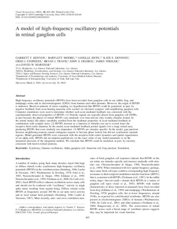 (PDF) A model of high-frequency oscillatory potentials in retinal ...