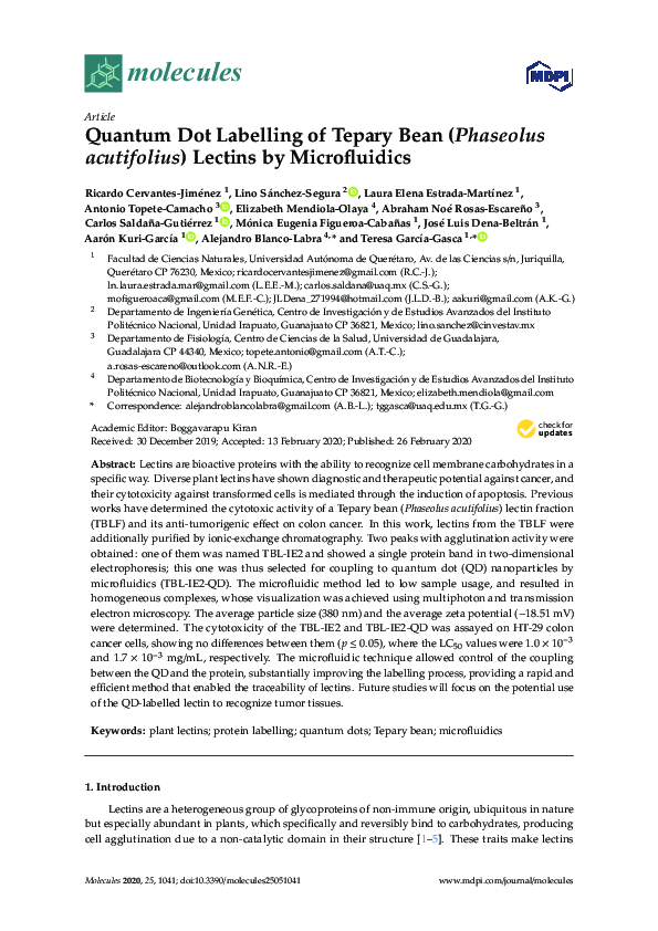 (PDF) Quantum Dot Labelling of Tepary Bean (Phaseolus acutifolius ...
