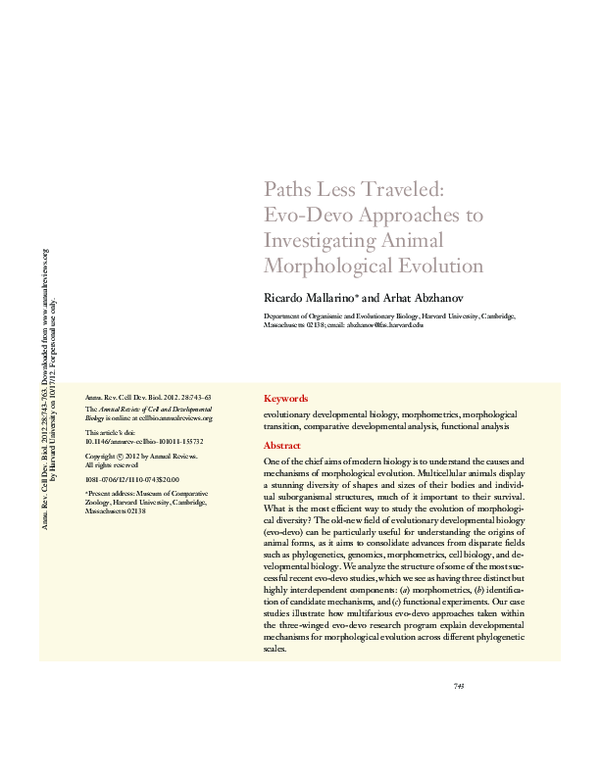 (PDF) Paths Less Traveled: Evo-Devo Approaches to Investigating Animal ...