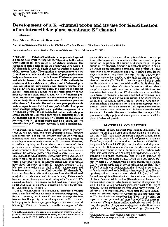 Development of a K(+)-channel probe and its use for identification of ...