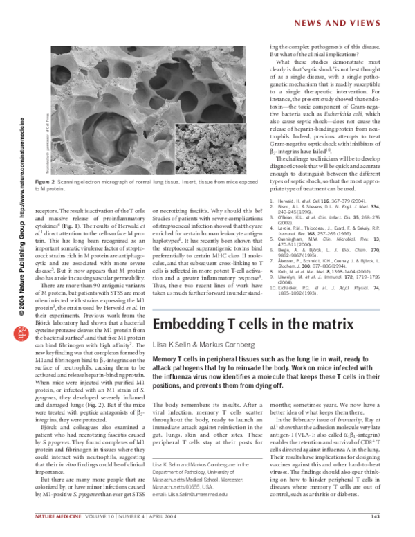 (PDF) Embedding T cells in the matrix