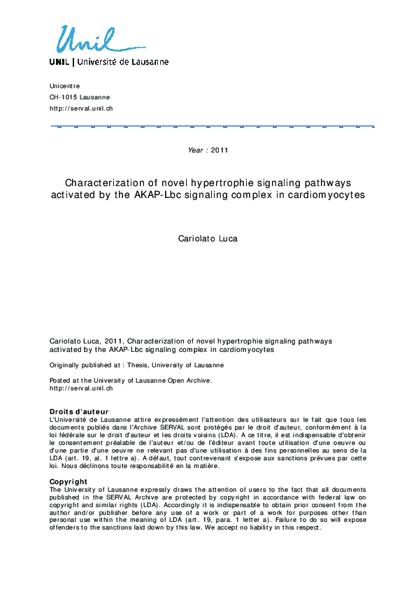 (PDF) Characterization of novel hypertrophic signaling pathways ...