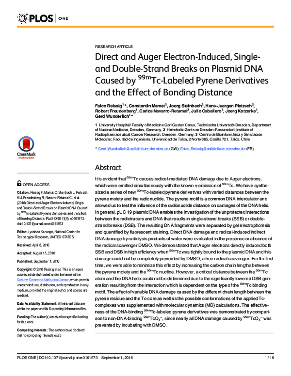 (PDF) Direct and Auger Electron-Induced, Single- and Double-Strand ...