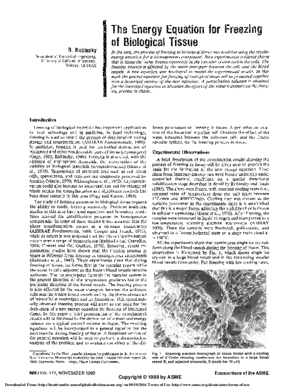 (PDF) The Energy Equation for Freezing of Biological Tissue