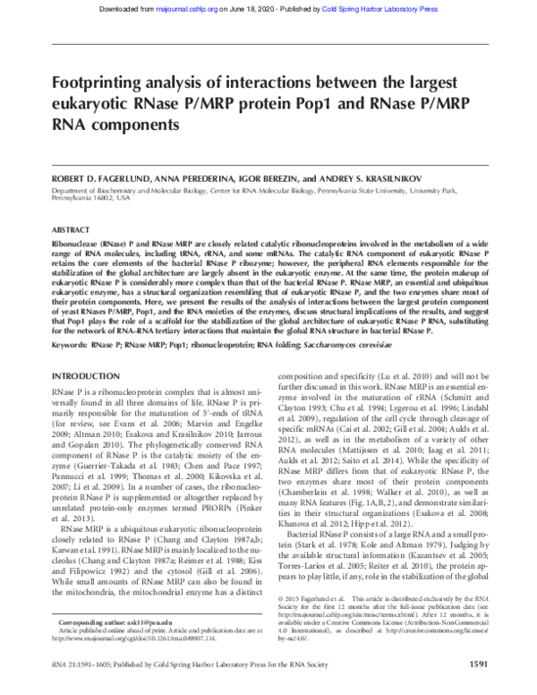 (PDF) Footprinting analysis of interactions between the largest ...