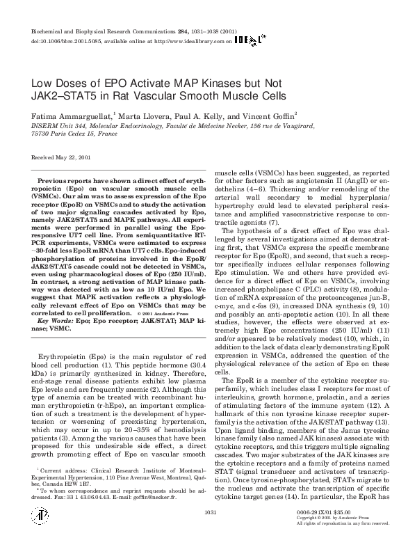 (PDF) Low Doses of EPO Activate MAP Kinases but Not JAK2–STAT5 in Rat ...