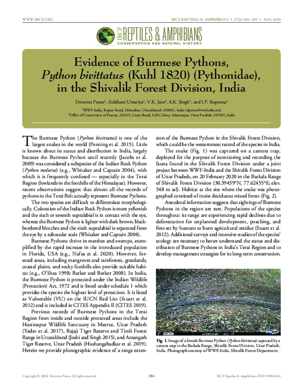 (PDF) Evidence of Burmese Pythons, Python bivittatus (Kuhl 1820 ...