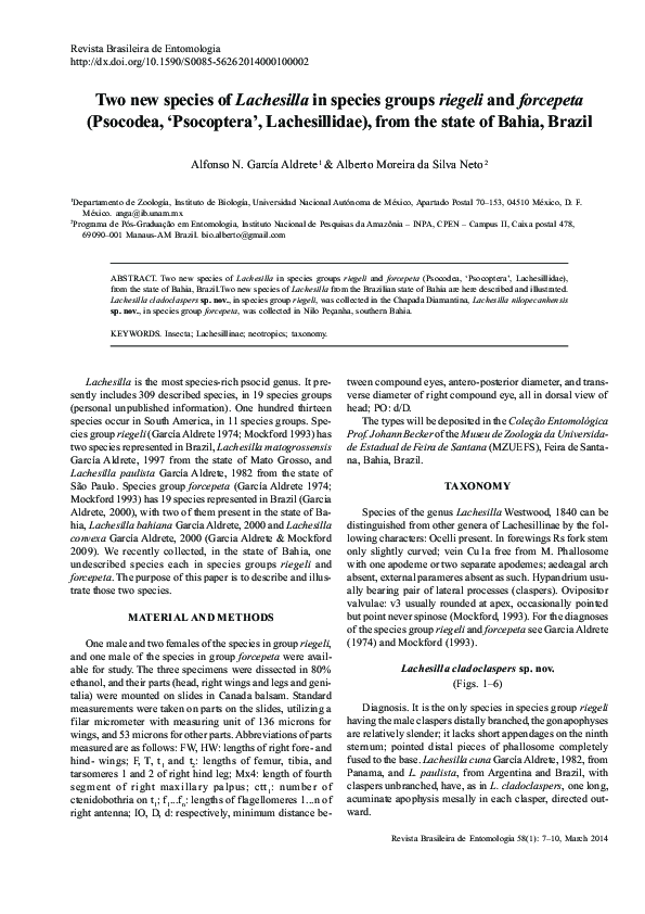 (PDF) Two new species of Lachesilla in species groups riegeli and ...