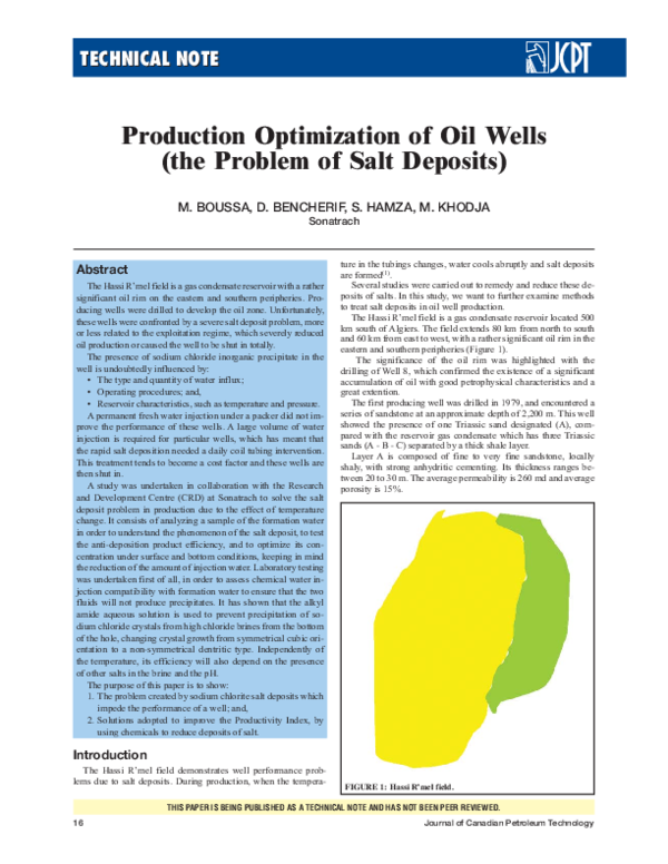 (PDF) Production Optimization of Oil Wells (the Problem of Salt Deposits)
