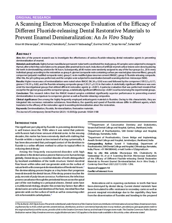 (PDF) A Scanning Electron Microscope Evaluation of the Efficacy of ...
