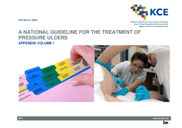 (PDF) A national guideline for the treatment of pressure ulcers