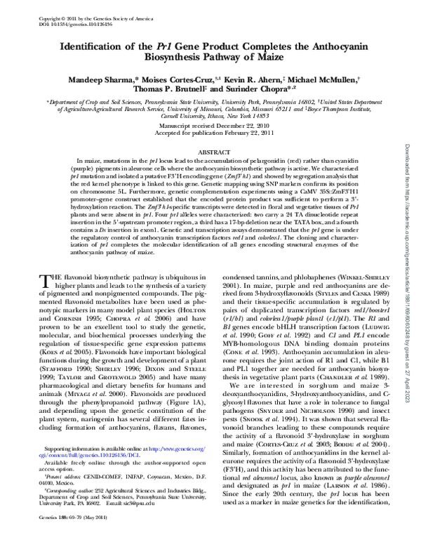 (PDF) Identification of the Pr1 Gene Product Completes the Anthocyanin ...