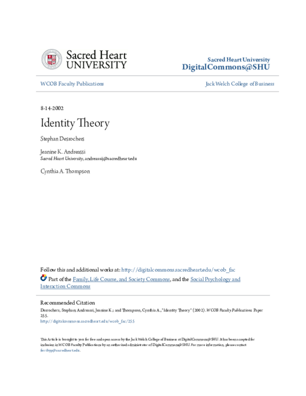 (PDF) Identity Theory