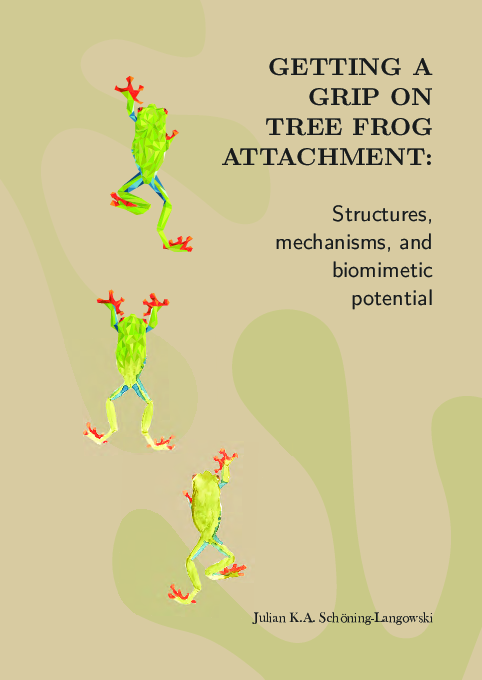 (PDF) Getting a grip on tree frog attachment : structures, mechanisms ...
