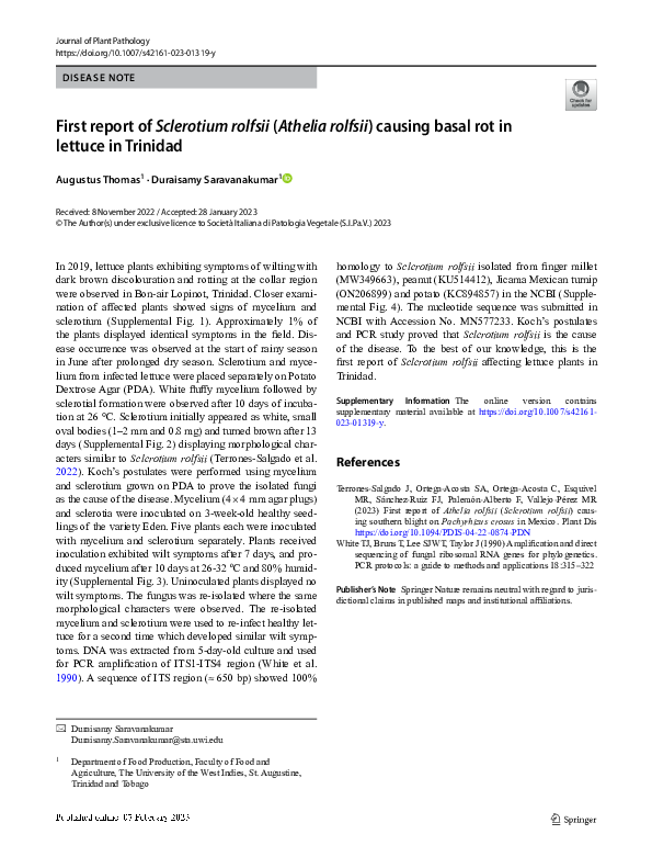 (PDF) First report of Sclerotium rolfsii (Athelia rolfsii) causing ...