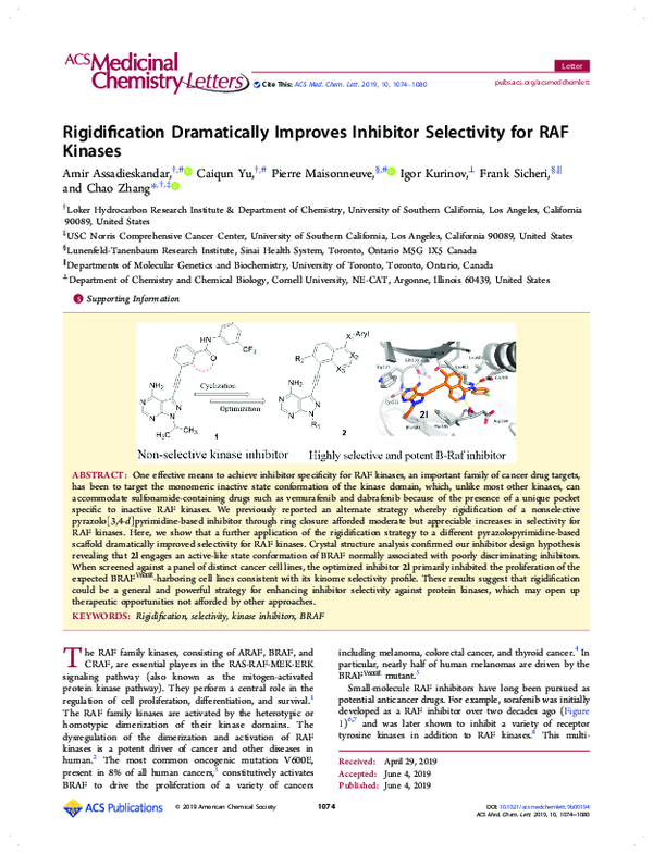 (PDF) Rigidification Dramatically Improves Inhibitor Selectivity for ...