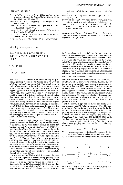 (PDF) Water Loss from Pipped Wedge-Tailed Shearwater Eggs