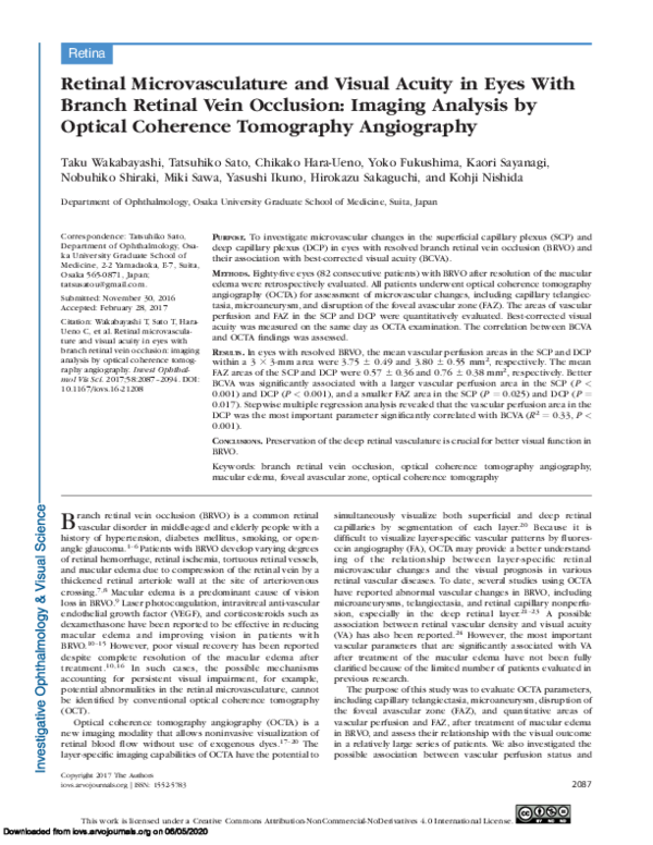 (PDF) Retinal Microvasculature and Visual Acuity in Eyes With Branch Retinal Vein Occlusion ...