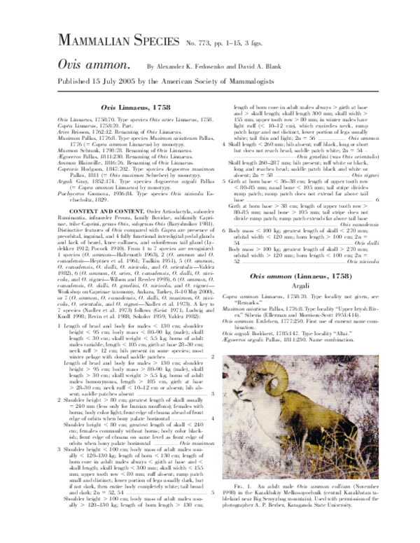 (PDF) Ovis ammon